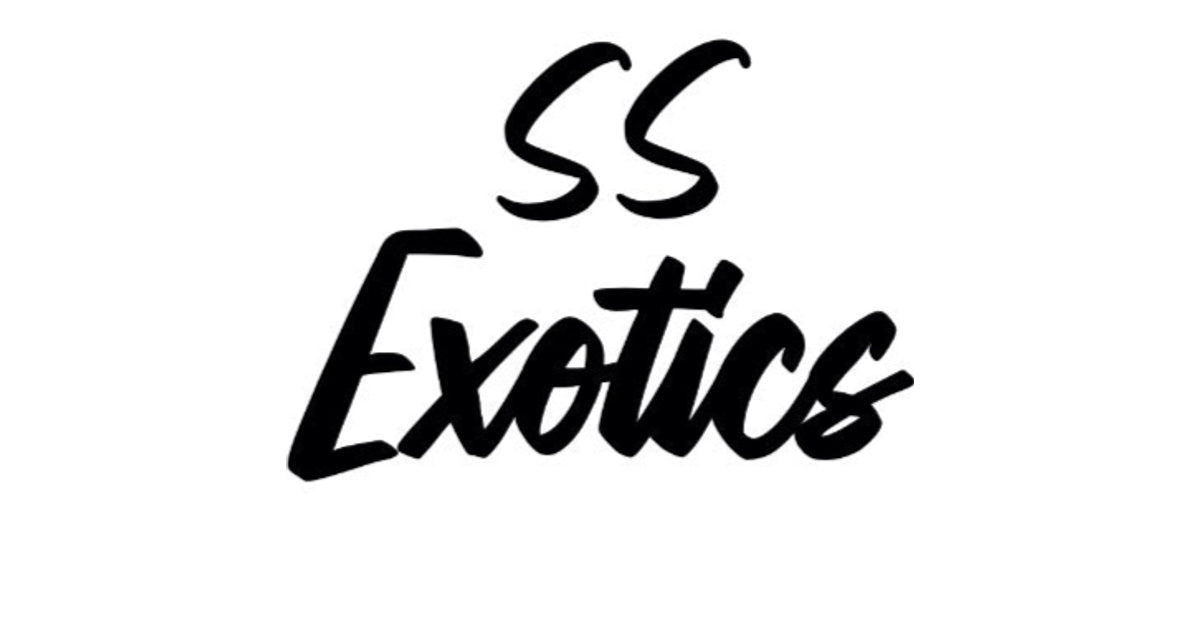 SS Exotics | Vendors, Credit Repair & Startup Business Guide